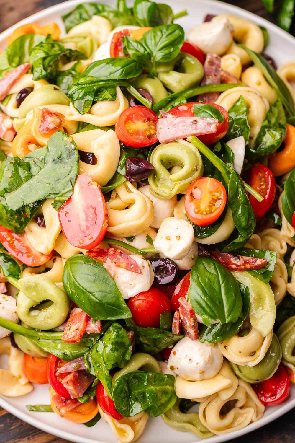 Easy Tortellini Pasta Salad - Sip and Feast