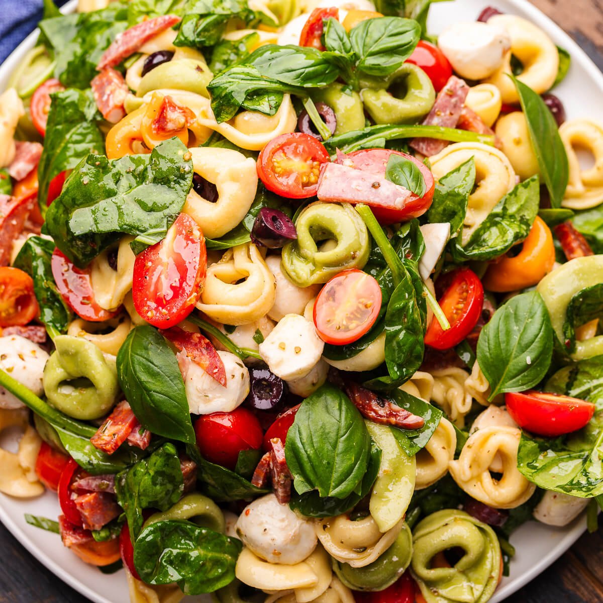 Salad Recipes - Sip and Feast